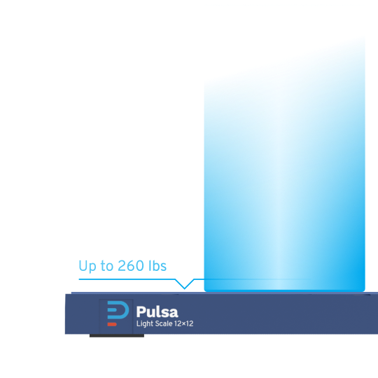 Pulsa Light Scale